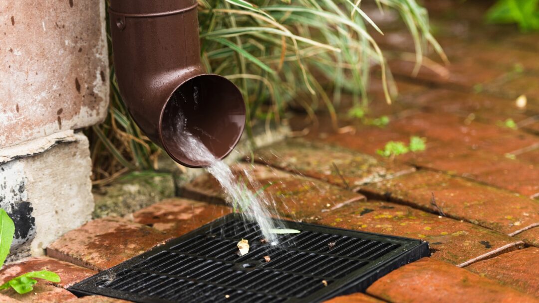 15 Easy Ways To Fix Drainage And Save Your Garden From Flooding ...
