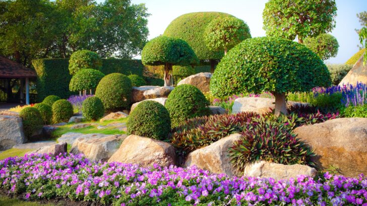15 Perennials, Trees, And Shrubs To Prune In May (Plus Tips For Best ...