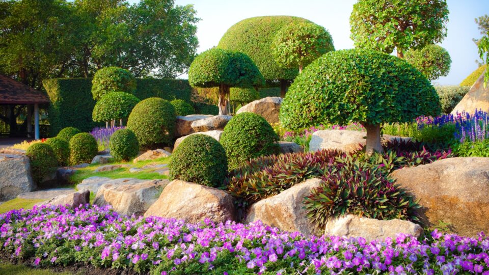 15 Perennials, Trees, And Shrubs To Prune In May (Plus Tips For Best ...