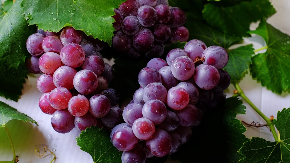 15 Vertical Fruit Ideas For Gardeners With Limited Space (And A Few You ...