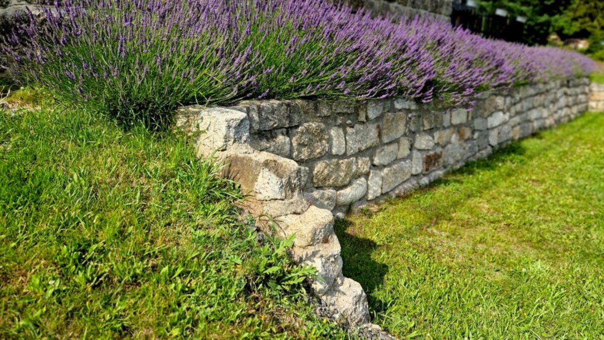 16 Sloped Backyard Mistakes That Waste Space (And What To Do Instead)