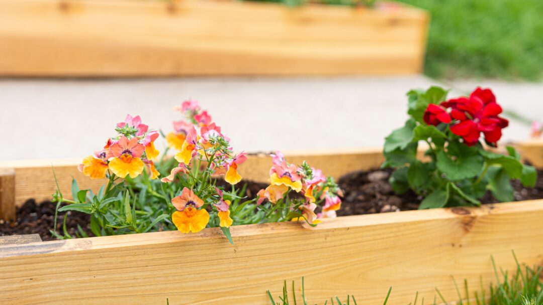 18 Must-Have Plants To Brighten Up Raised Planter Boxes (And How To ...
