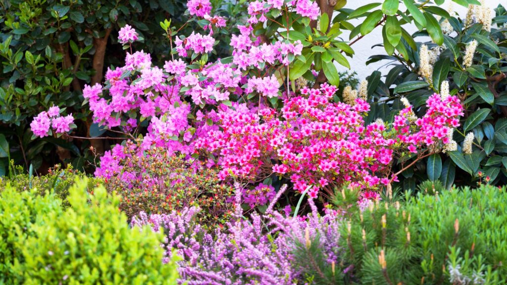 20 Plants That Pair Beautifully With Azaleas