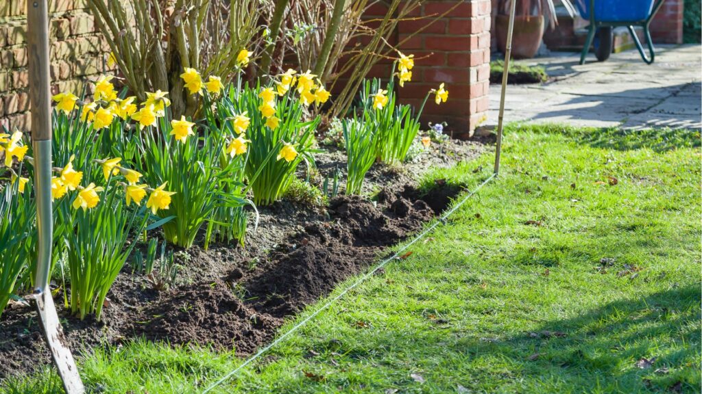 22 Types of Edging That’ll Help Stop Grass From Growing in Flower Beds