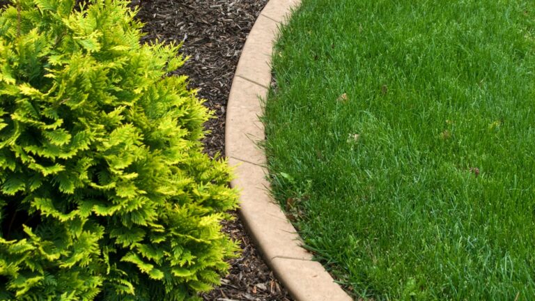 24 Brilliant Ways How To Edge A Lawn With Or Without An Edger