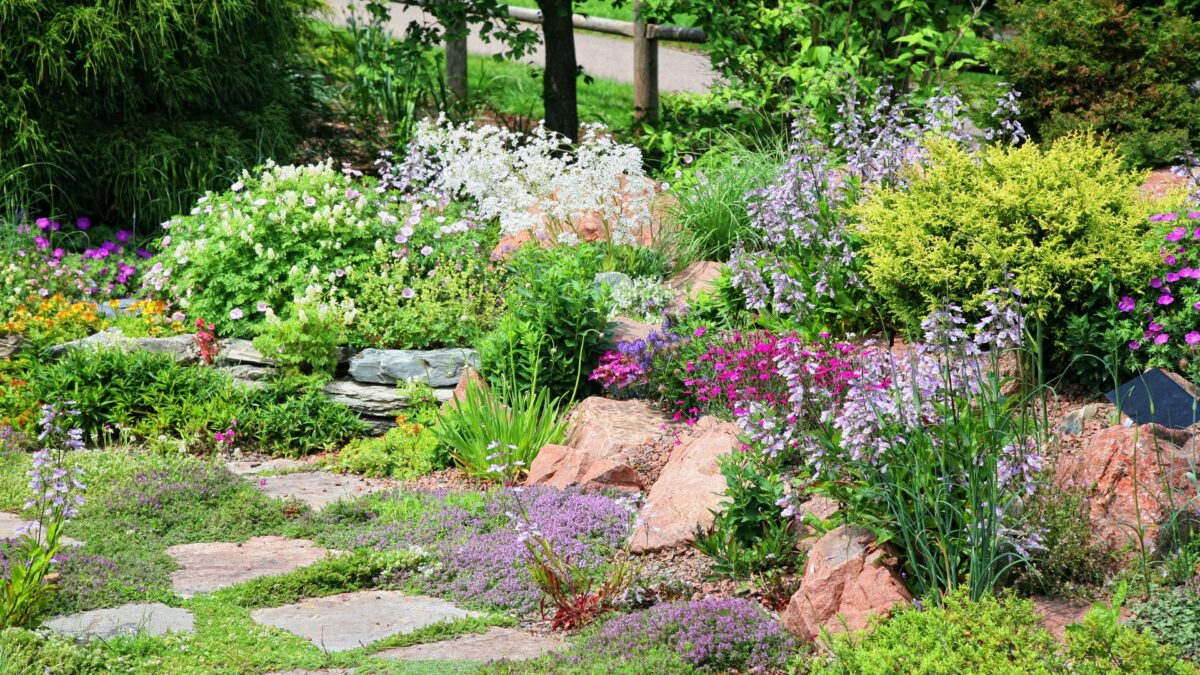 33 Stunning Front Yard Designs With Rocks And Mulch (And Handy Tips To ...