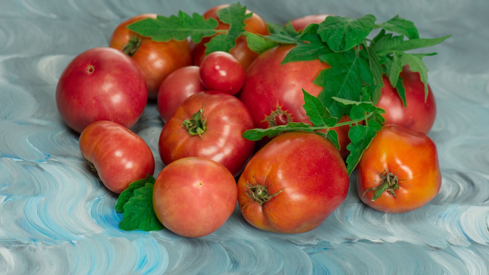 16 Dwarf Tomato Varieties That Thrive in Pots When Started Indoors (And ...