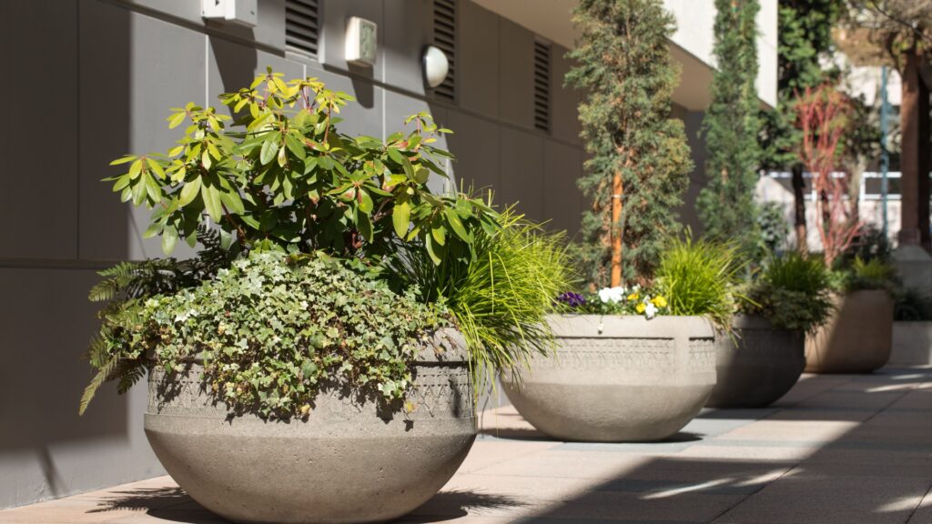 What To Put In The Bottom Of A Large Planter (That Isn’t Just Soil ...