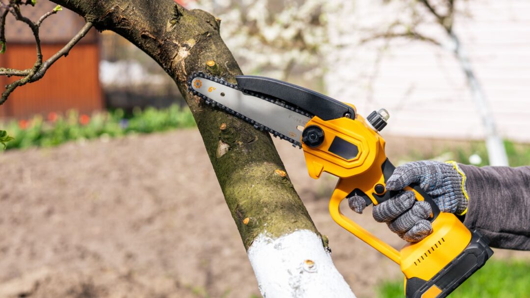 10 Best Mini Chainsaws — And How To Choose The Right One For Your Needs