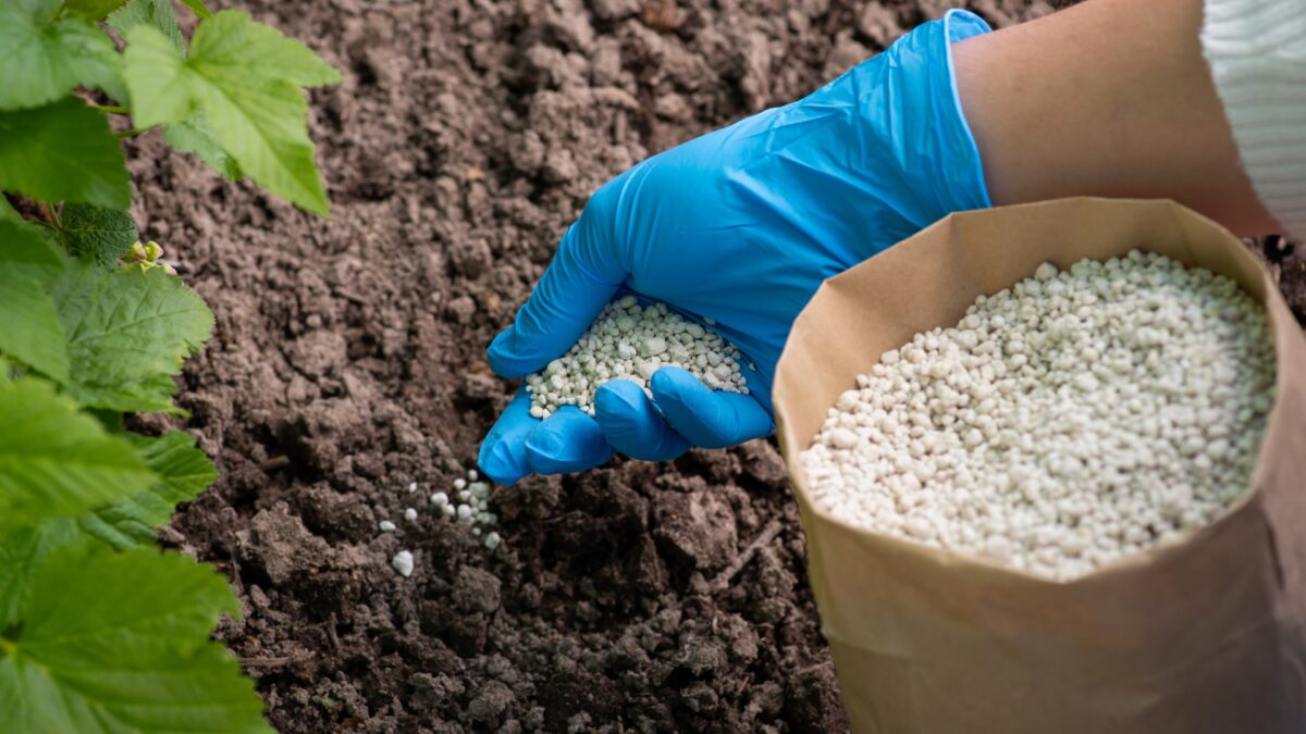 15 Smart Ways To Use Time-Release Fertilizer Effectively (And Get The ...