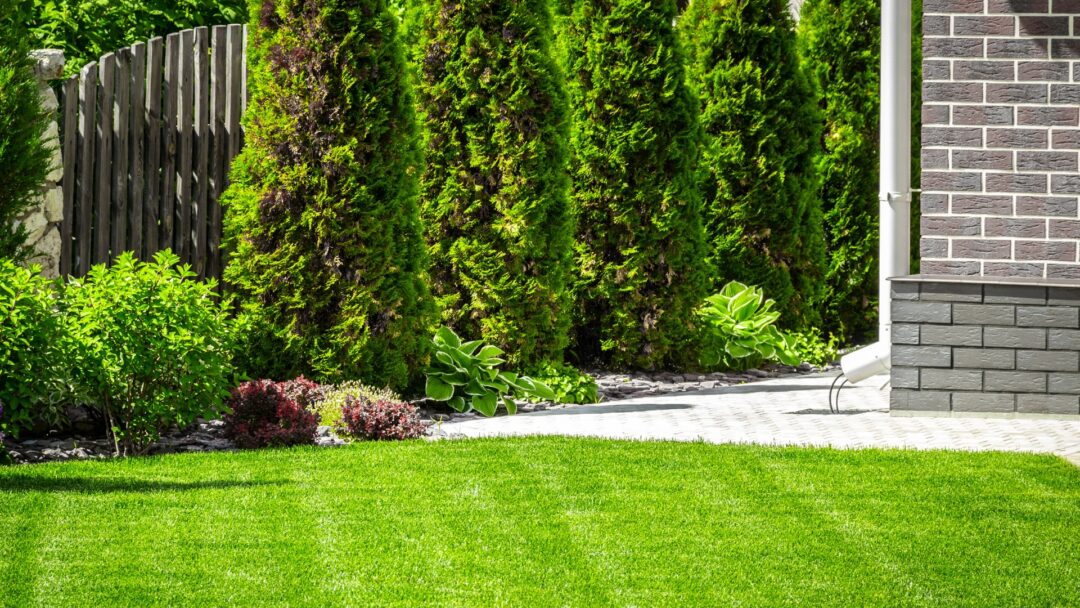 16 Powerful Ways To Fix A Soggy Yard Fast (And Keep It Dry Through ...
