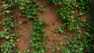 19 Ways To Stop Aggressive Vines Before They Take Over Your Flower Beds