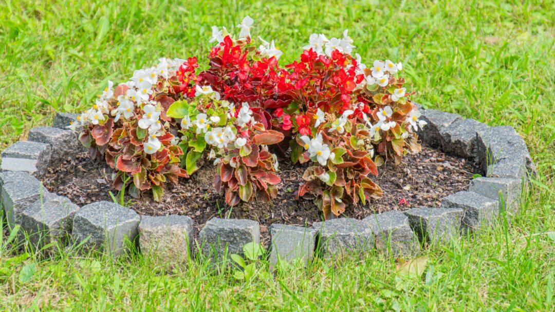 24 Types of Edging That’ll Help Stop Grass From Growing In Flower Gardens