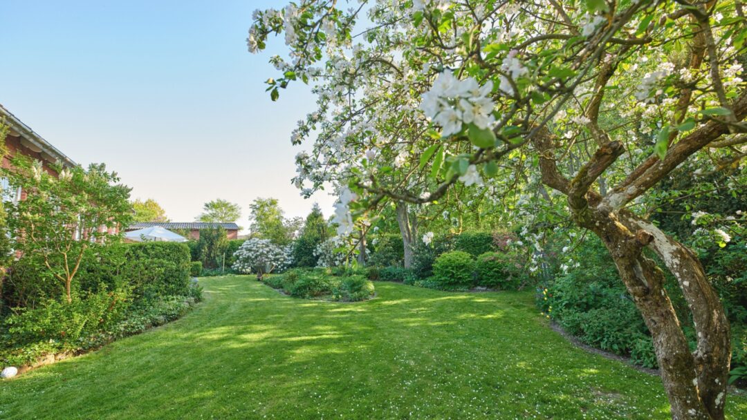 9 No-Grass Yard Ideas To Skip—And 9 That Actually Work