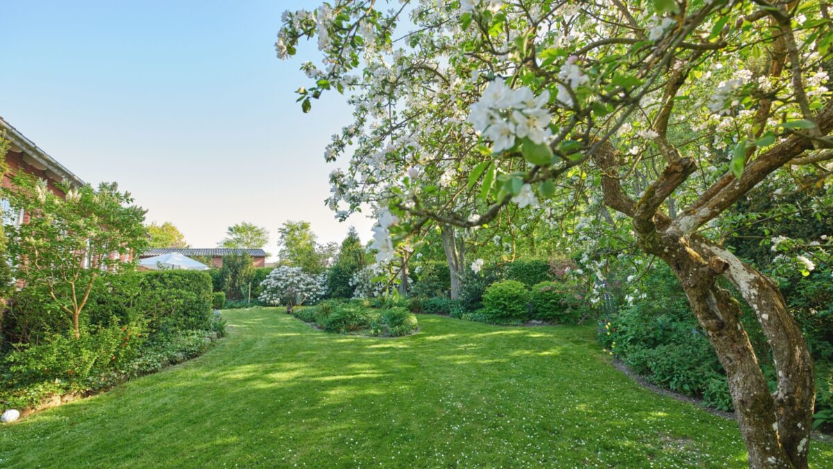 9 No-Grass Yard Ideas To Skip—And 9 That Actually Work