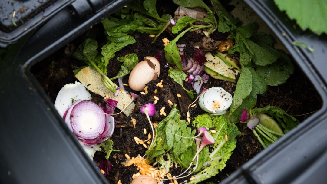 16 Easy And Affordable Compost Bins For Any Home Or Budget