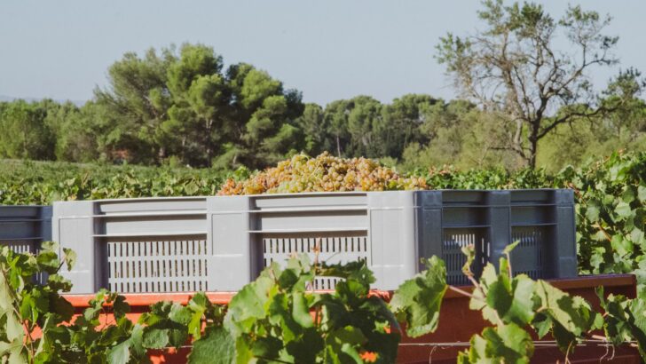 16 Smart Ways To Turn Plastic Crates Into Garden Storage (That Actually ...