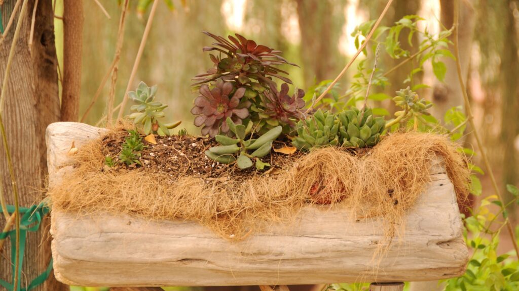16 Stunning DIY Tree Log Ideas You’ll Want To Try This Weekend