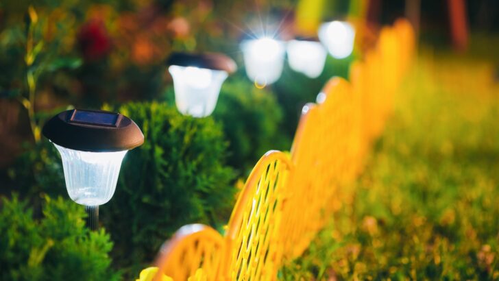 17 Cool Things Under $20 That'll Make Your Yard Look More Expensive