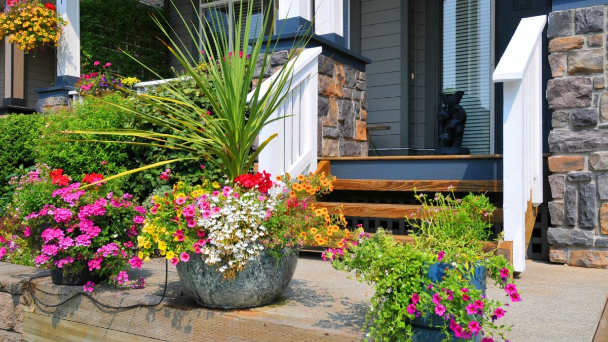 17 Unique Landscaping Ideas That Make Any Backyard Look More Lush ...