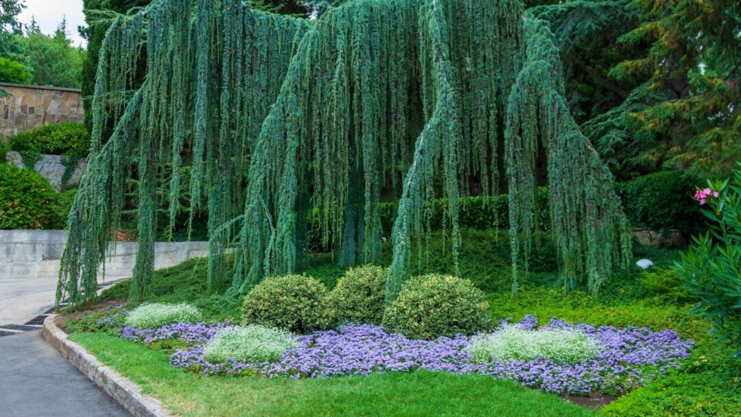 20 Luxury Plants That Will Instantly Elevate Your Garden