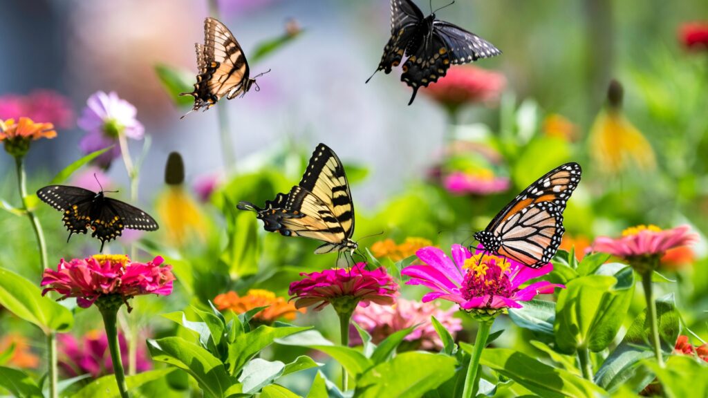 If These 20 Animals Visit Your Garden, You're Doing Everything Right