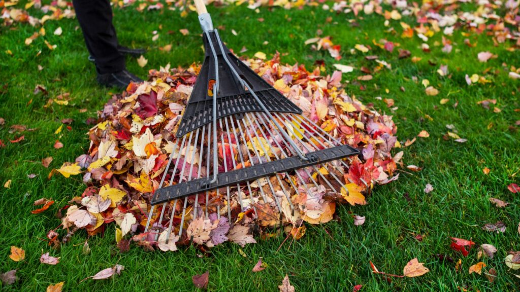 Is Your Garden A Mess? Dig Out Of A Gardening Slump With These 15 Steps