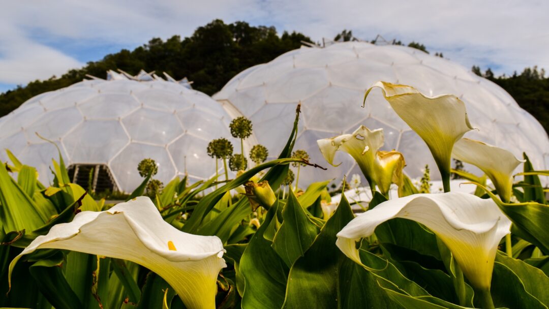 Step Into The Revived Eden Project: A 21st-Century Restoration Of ...