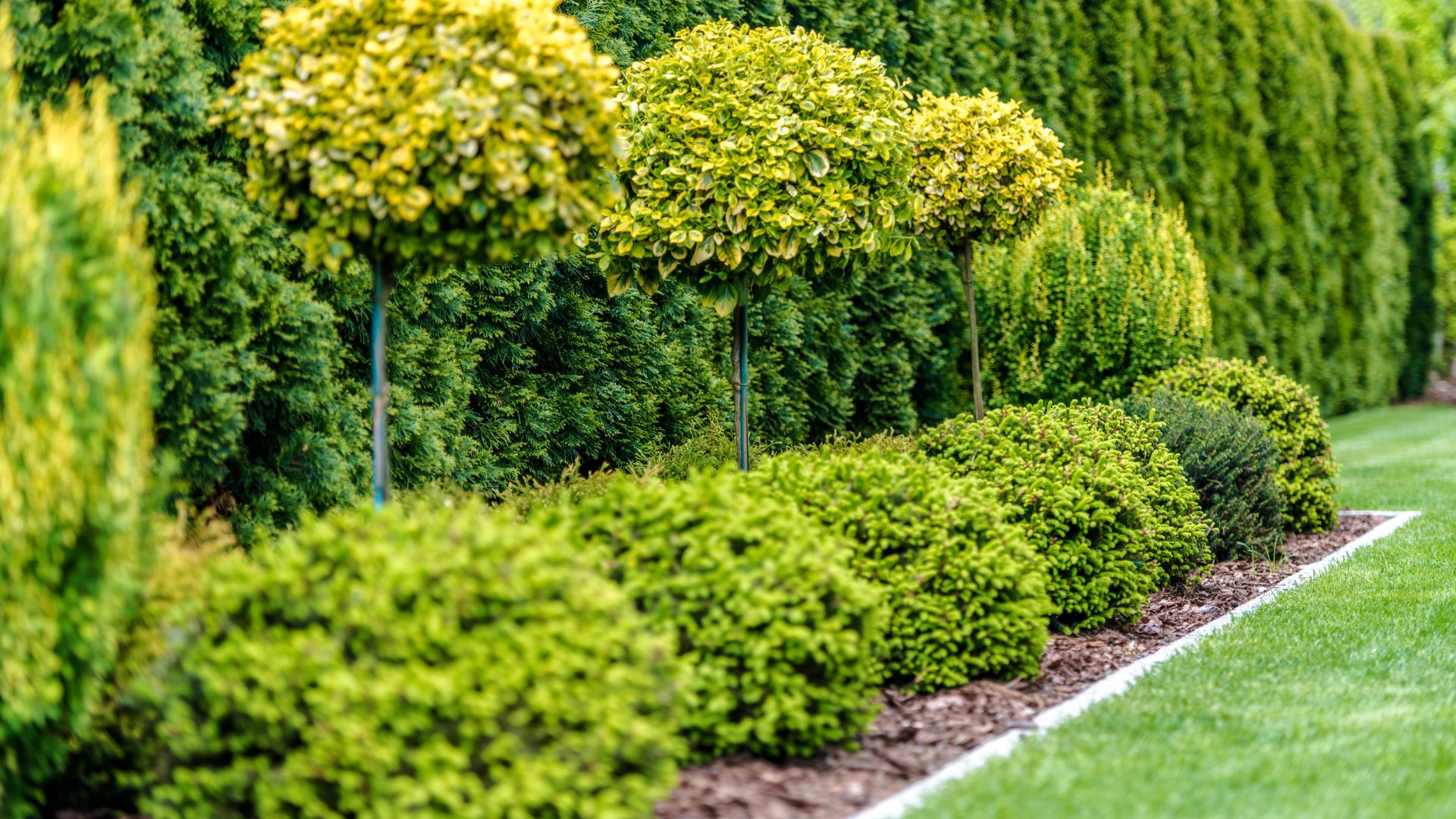 17 Ways To Arrange Shrubs In A Front Yard For Maximum Curb Appeal