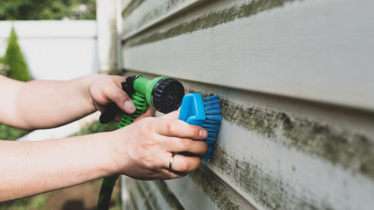 16 Easy Ways To Banish Algae And Make Your Home Siding Look New Again