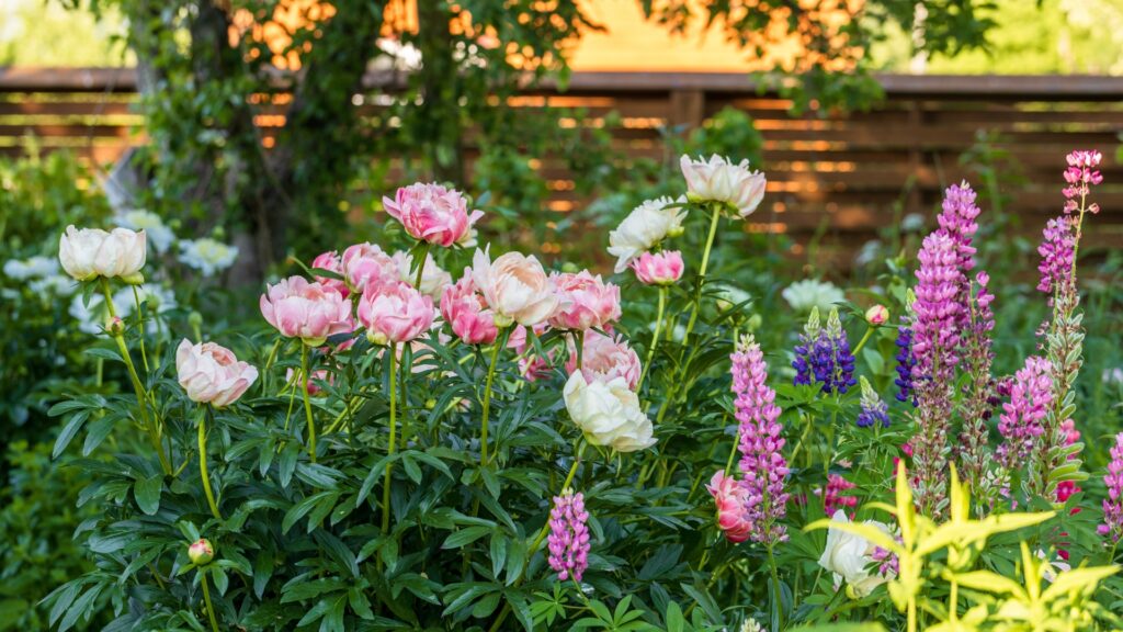 19 Perennials That Will Come Back Every Year In Indiana