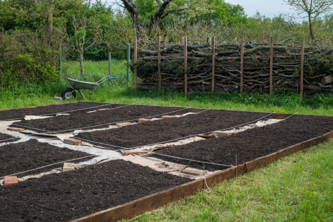 Build A No-Dig Garden Bed Over Grass In Arkansas
