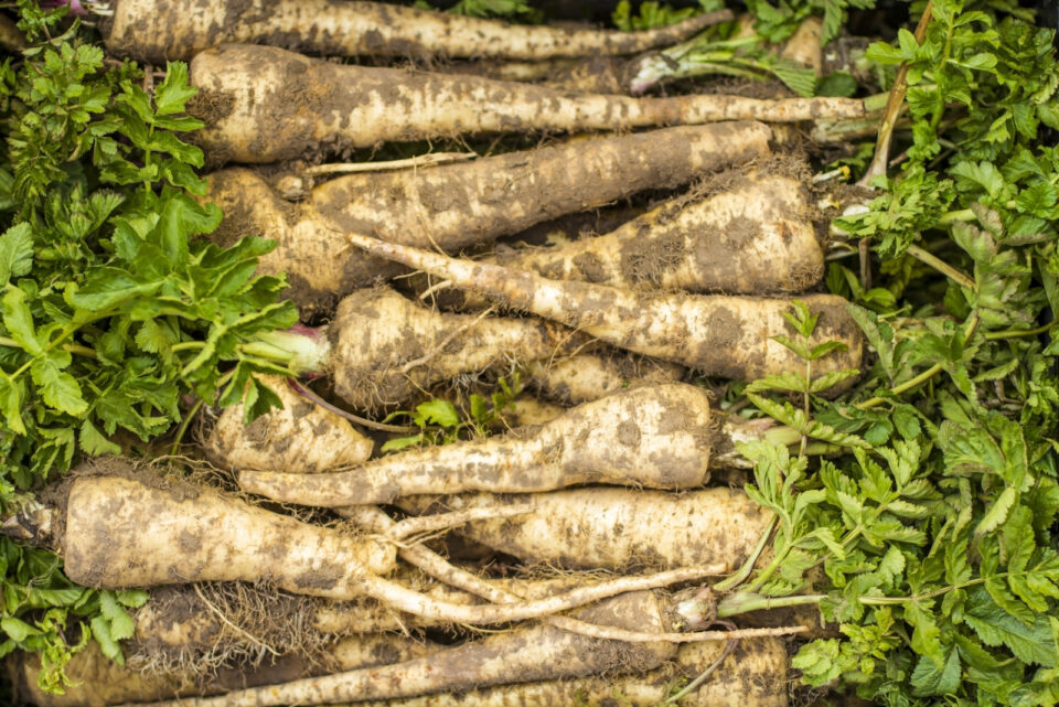 Cold-Weather Crops That Taste Better After Frost In Wisconsin