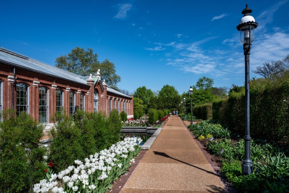 Henry Shaw's Vision Highlighted At Missouri Botanical Garden