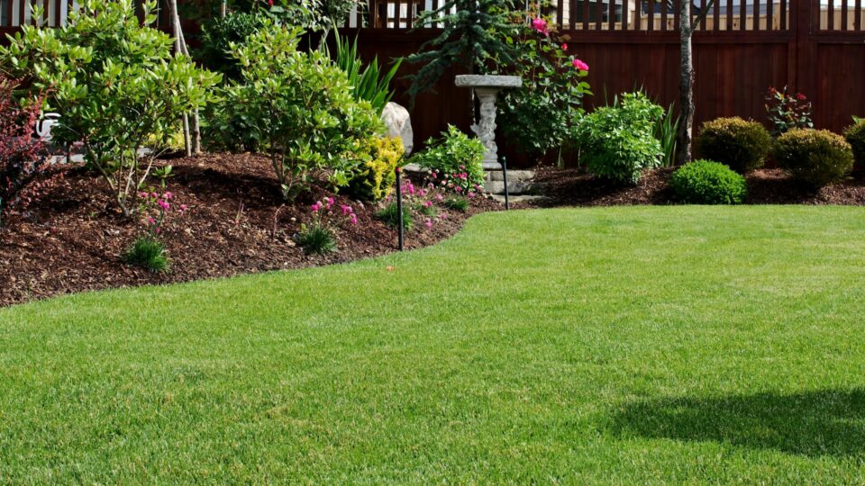 How To Cool Down Overheated Lawns In Northern California