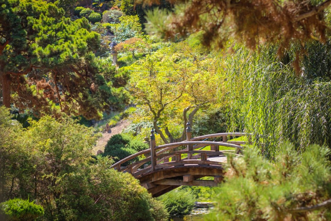 Huntington Botanical Gardens In Pasadena California Mix Plants With ...
