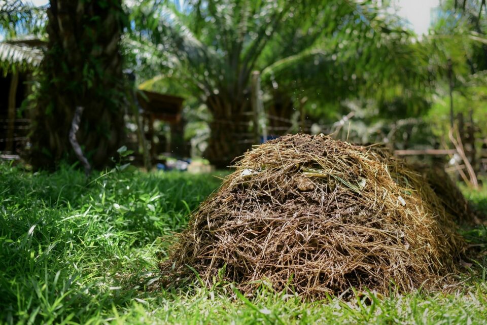 Key Differences Between Layering And Turning Compost In The Midwest