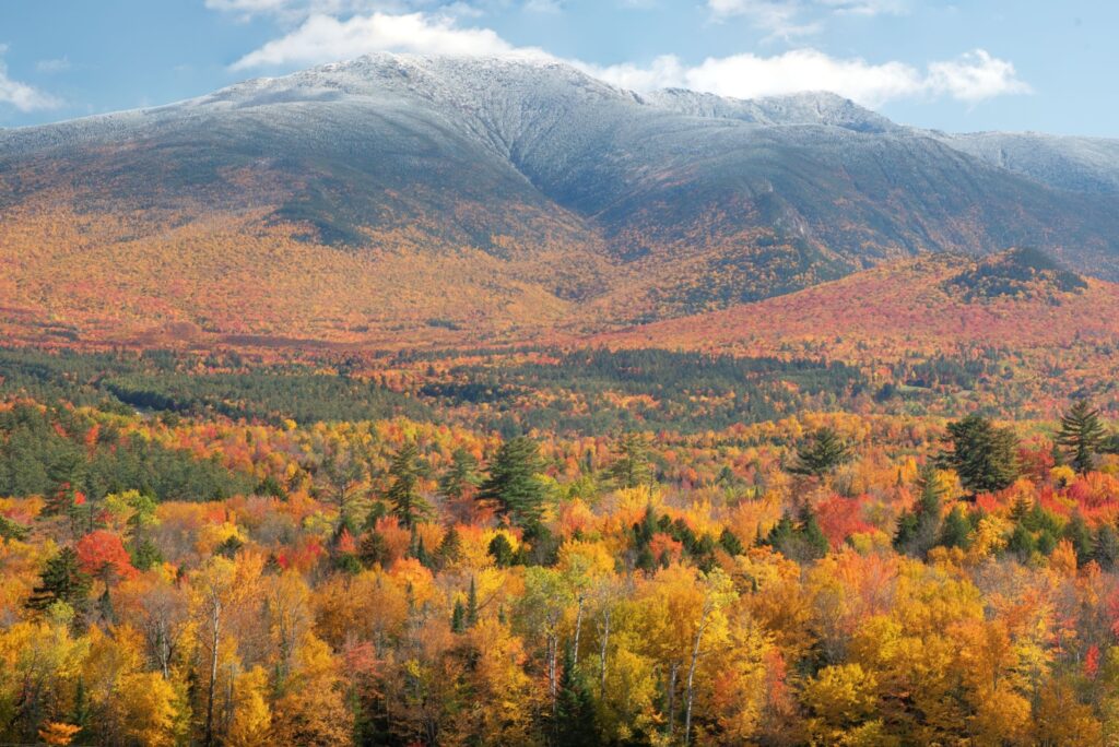 Maple Trees Cast A Timeless Glow On New Hampshire Towns