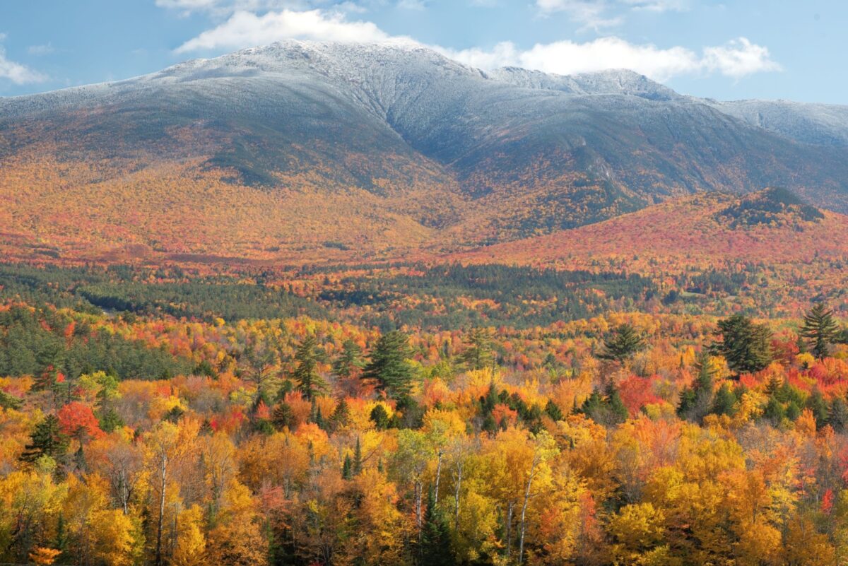 Maple Trees Cast A Timeless Glow On New Hampshire Towns