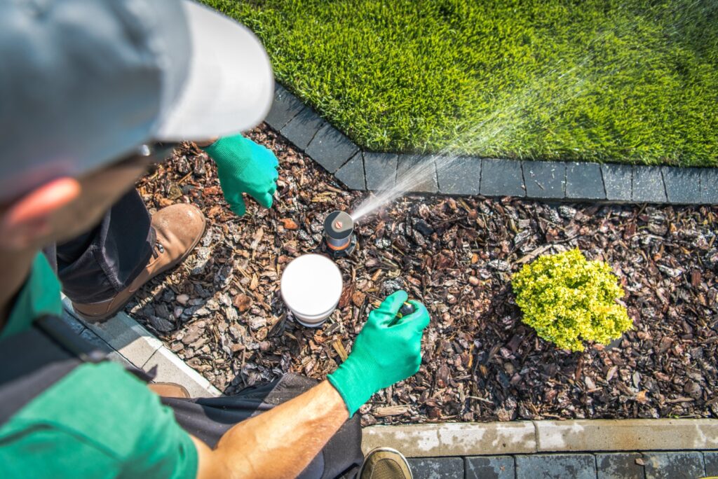 10 Common Lawn Mistakes That Are Ruining Minnesota Yards In Late Summer