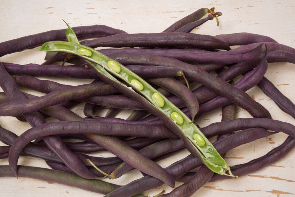 13 Heirloom Vegetables Returning To Georgia Gardens