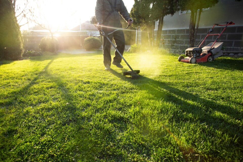 8 Lawn Mistakes Ruining Wisconsin Yards In Late Summer