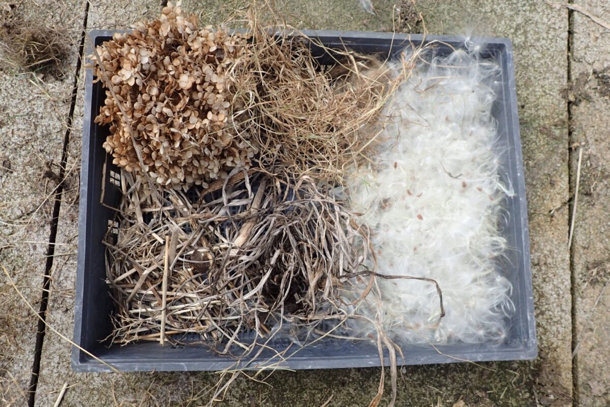 9 Nesting Materials To Avoid If You Want To Protect Hummingbirds In ...