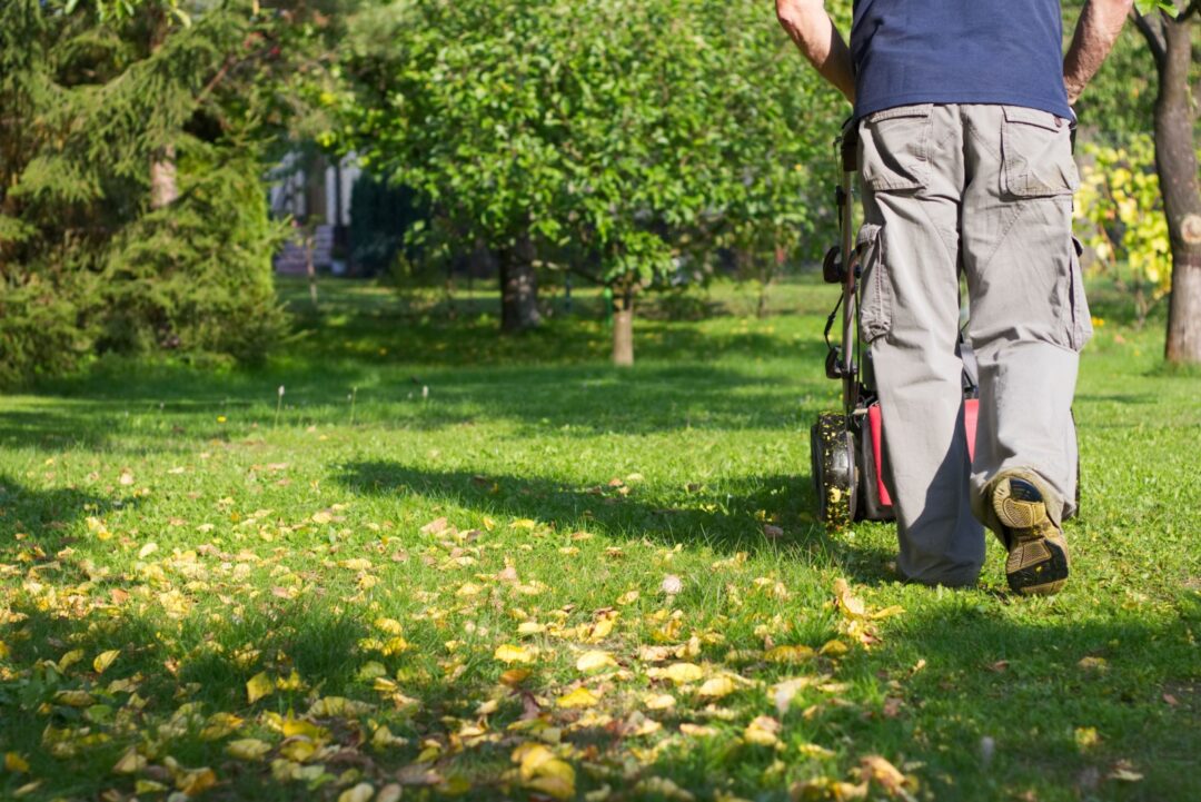 9 October Lawn Mowing Rules That Keep North Carolina Yards Thriving