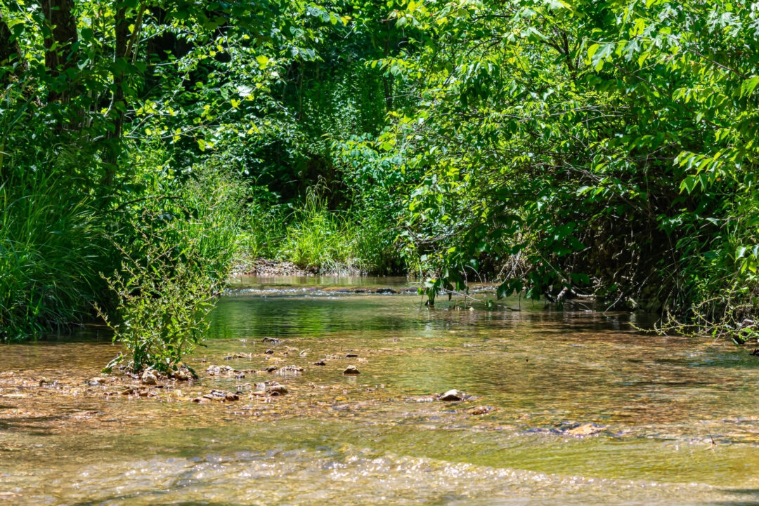 Alabama’s Secret Green Spaces That Locals Love