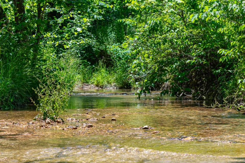 Alabama’s Secret Green Spaces That Locals Love