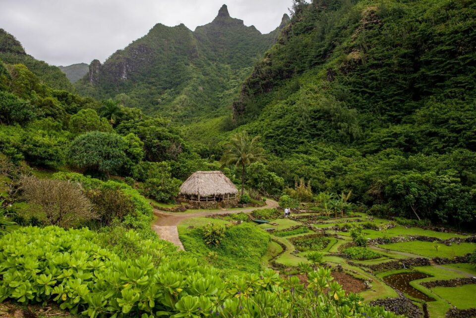 Hawaii's Hidden Green Spaces That Show The Islands' Garden Treasures