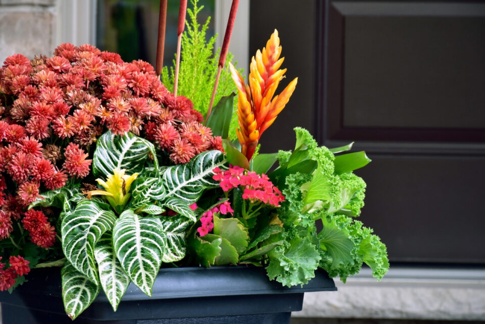 12 Stunning Fall Container Garden Ideas For Illinois Yards