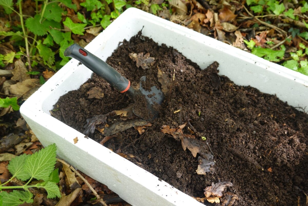 8 Easy Steps To Make And Apply Leaf Mold In Florida Gardens