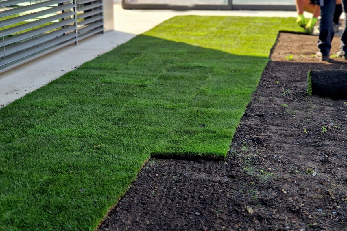 9 Popular Yard Features That Could Be Banned In Wisconsin Neighborhoods